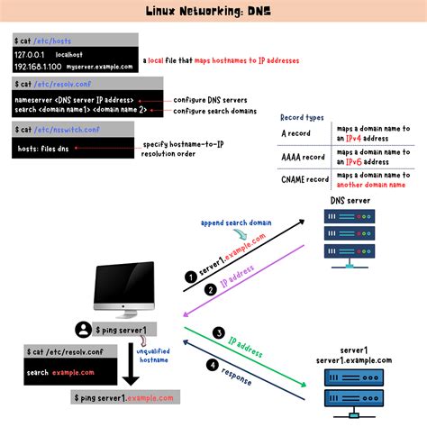 Linux Networking Dns In Linux Networking Hostname By Claire Lee Medium
