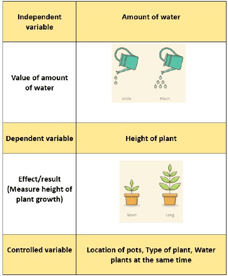 1 2 Designing Experiments Whats Being Tested Chemistry Libretexts