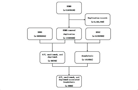 Flowchart Of Data Mining Process Of Anaphylaxis Related To Ait Download Scientific Diagram