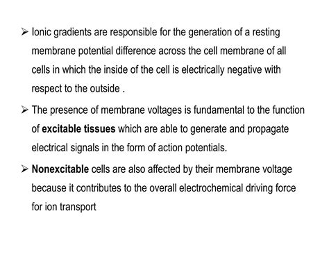 Solution Resting Membrane Potential And Electrical Excitability Of
