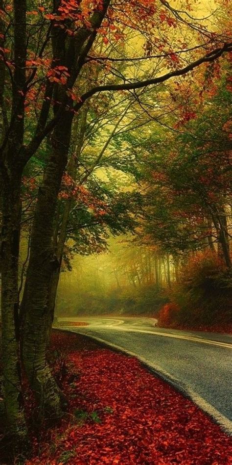 Mobile Hd Wallpapers Hd Wallpaper Wallpaper Best Mobile