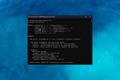pnputil exe what is it and how to properly use it