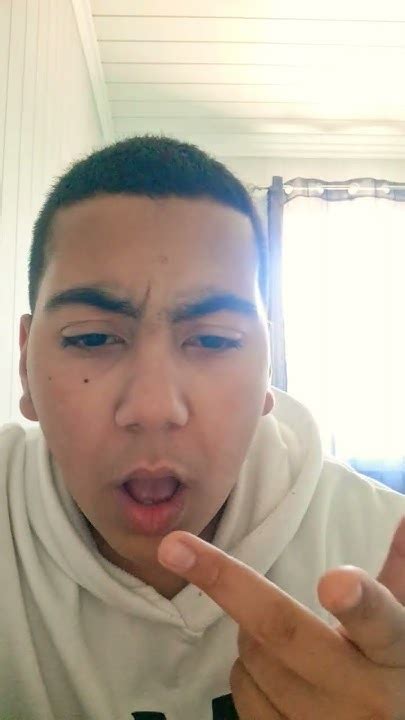 قطة بنت الكلب 😂 Firasdiab Youtube