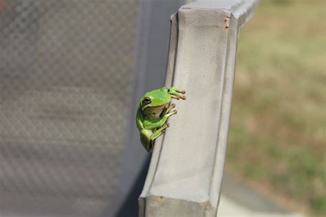 무료 이미지 녹색 수륙 양용 비행기 3456x2304 157165 무료 이미지 Pxhere