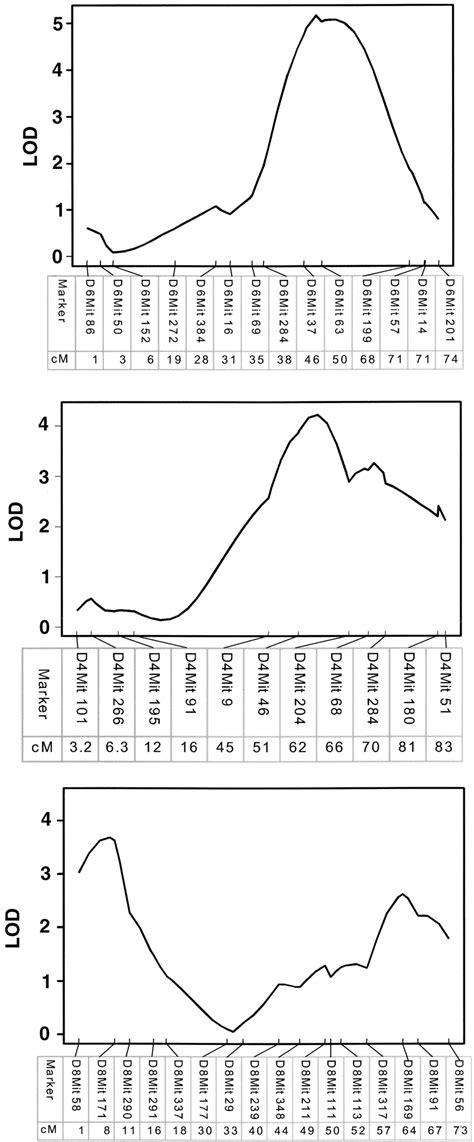 Chromosomes 6 4 And 8 Linkage Maps Of Plasma Non Hdl Cholesterol In