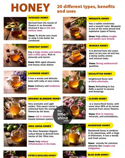 Different Types Of Honey 20 Types Of Honey With Flavor Benefits And