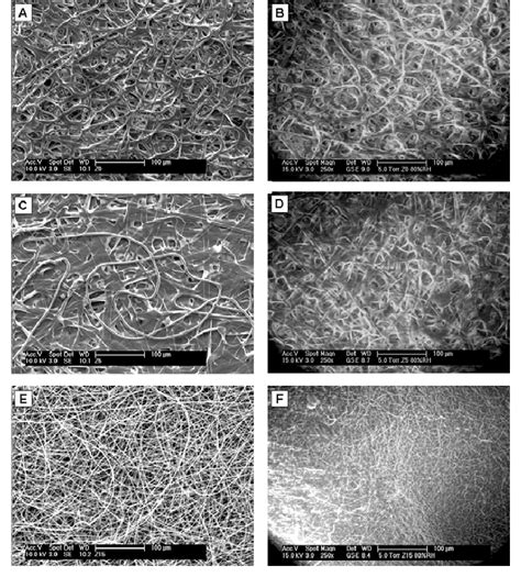 Scanning Electron Micrographs Of Electrospun Terpolymer Biomaterials At