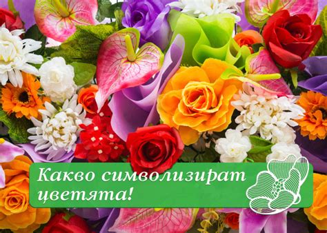 Градинарите ЕООД Значението на цветята