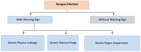 Preparedness For The Dengue Epidemic Vaccine As A Viable Approach