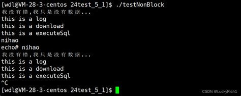 Linux网络编程高级IO五种IO模型 linux 怎么设置网络io模型 CSDN博客