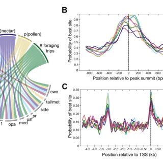 Differences In TF Activity And TF Motif Occurrence Are Associated With Download Scientific