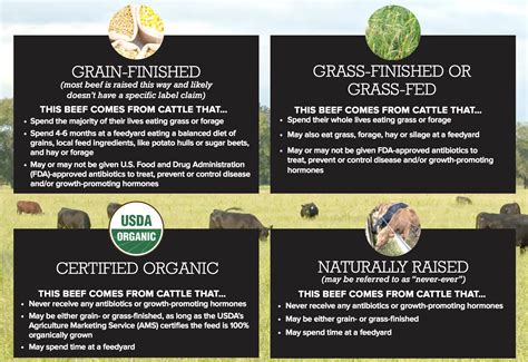 Puzzle Of Beef Cuts On A Carcass Sanchez Vichingre