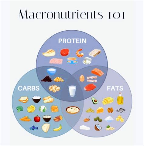 Macronutrients