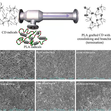 Unlocking The Potential Of Reactive Extrusion In Pla Synthesis Udtech