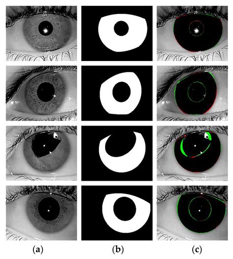 irisdensenet robust iris segmentation using densely connected fully
