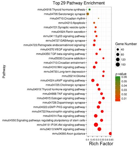 The Bubble Chart Of Up Regulated Mirnas In Kegg Analysis Y Axis