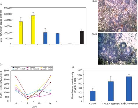 A Real Time Reverse Transcriptase Rt Polymerase Chain Reaction Download Scientific Diagram