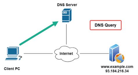 Курс Ultimate Kali Linux 37 Изучение данных разведки Dns Этичный хакинг с Михаилом