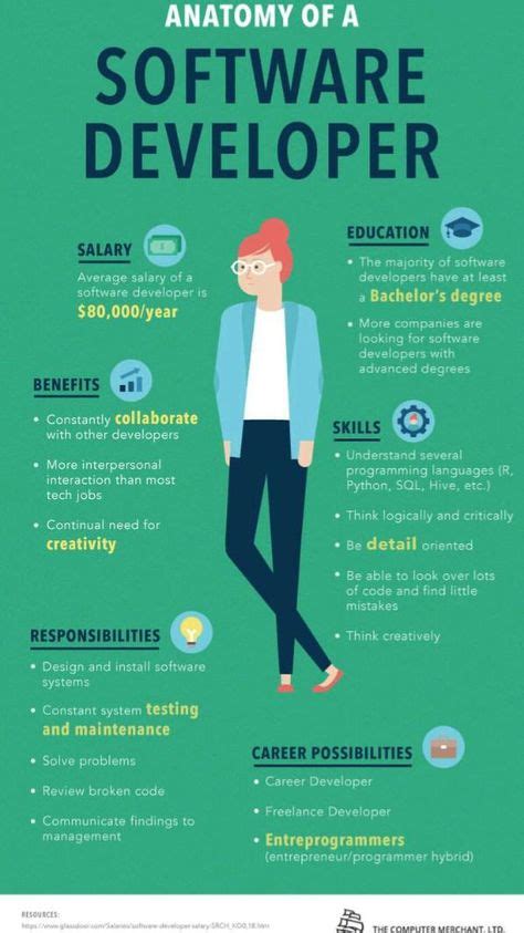 anatomy of software developer