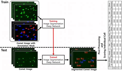 Overview Of The Proposed Framework For Comet Analysis In The Training Download Scientific