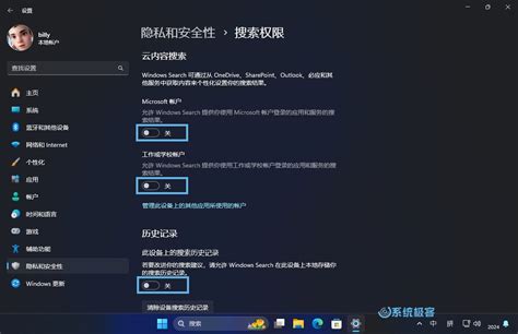 Windows 11 隐私设置大全：9 招教你保护个人信息 系统极客