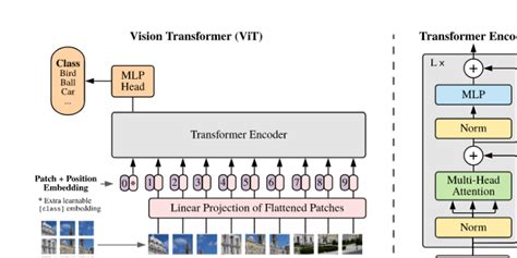 Vision Transformer Implementation From Scratch Curt Tigges