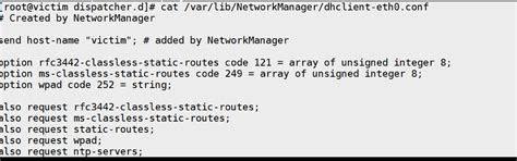 Analysis Of The DHCP Client Script Code Execution Vulnerability CVE