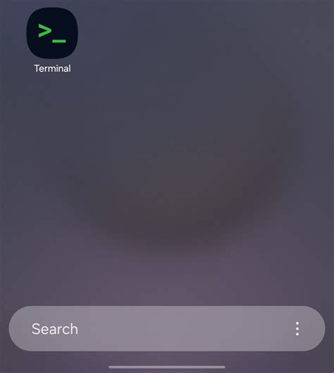 One Ui 8 0 Teases Linux Terminal App But Its Too Soon To Celebrate Sammyguru