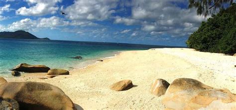 Nudey Beach Cairns Roadtrippers