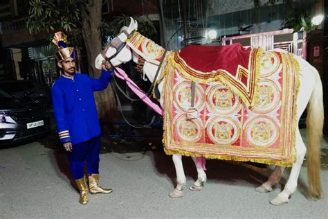 Shiv Mohan Band Entertainment Rajouri Garden Subhash Nagar