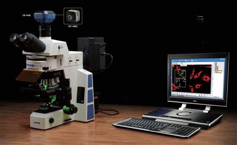 Yrx50 Large Numerical Aperture Biological Microscope Meter Bd Shop