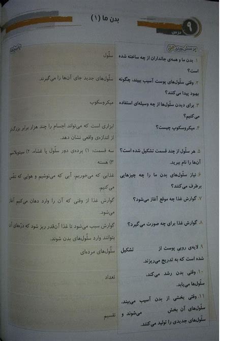 جواب درس 9 بدن ما 1 — علوم تجربی چهارم ابتدایی — مهدآموز