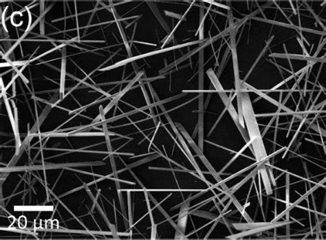 Highly Sensitive No2 Gas Sensors Based On Mos2 Moo3 Magnetic Heterostructure Centre For