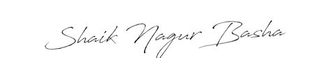 81 Shaik Nagur Basha Name Signature Style Ideas Wonderful Esign