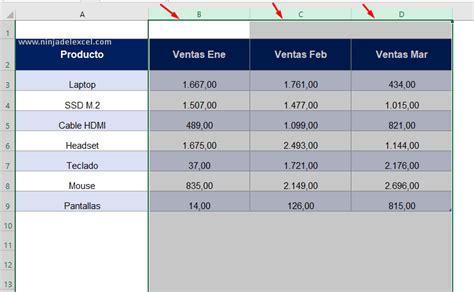 Como Agrupar Columnas En Excel Ninja Del Excel
