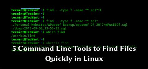 在 Linux 中快速查找文件的 5 个命令行工具
