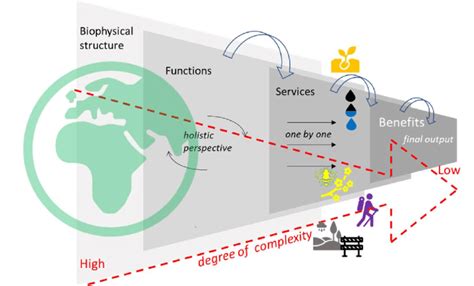 ecosystem services in the cascade model download scientific diagram