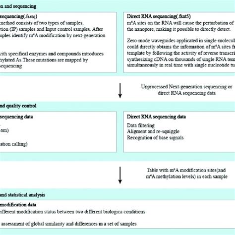 Workflow For Analysing And Interpreting M 6 A Modification Data