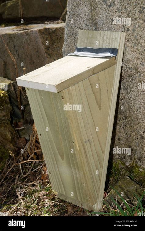 Homemade Wooden Nest Box For Treecreepers Stock Photo Alamy