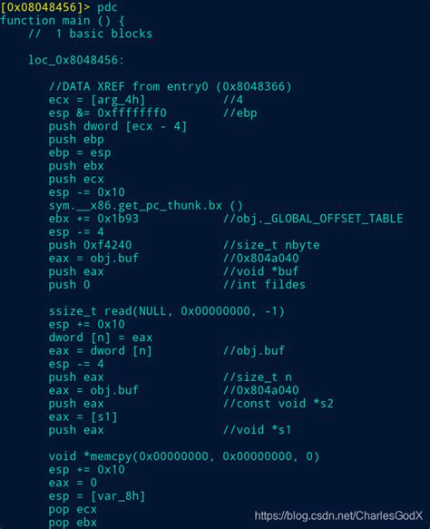 Radare2教程 Csdn博客