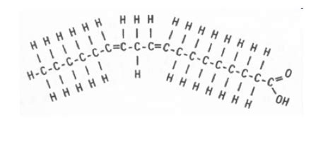 Chapter Lipids Diagram Quizlet