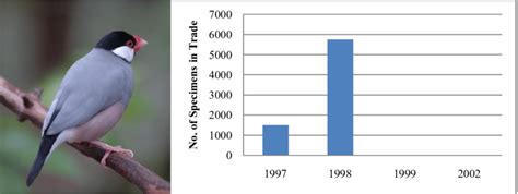 Left Side Java Sparrow Photo By Jason L Buberel Right Side Download Scientific Diagram