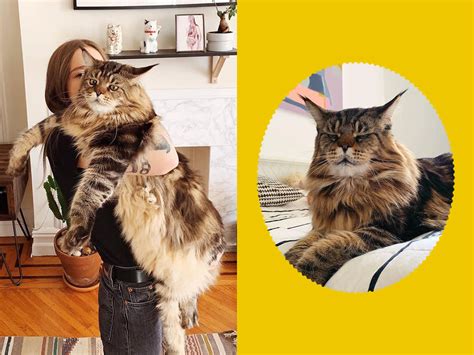 Katya Krasnova Kingdom Tattoos