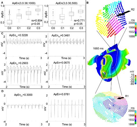 Figure From Dynamic Approximate Entropy Electroanatomic Maps Detect Rotors In A Simulated