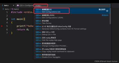 Vs Code 在vs Code中编写cc代码vscode C Csdn博客
