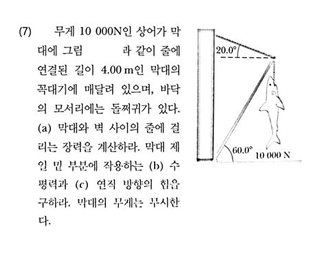 과학 물리2 힘과 운동 오누이
