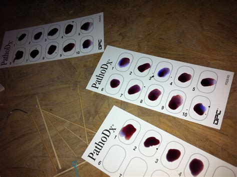 Npip Testing Complete