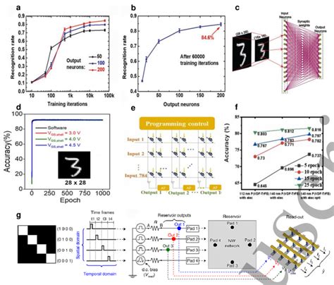A Dependence Between Recognition Rate And Training Iterations In Download Scientific Diagram