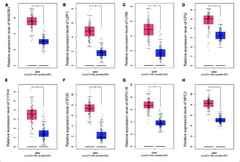 The Relative Expression Level Of Eight Common Degs Boxplots