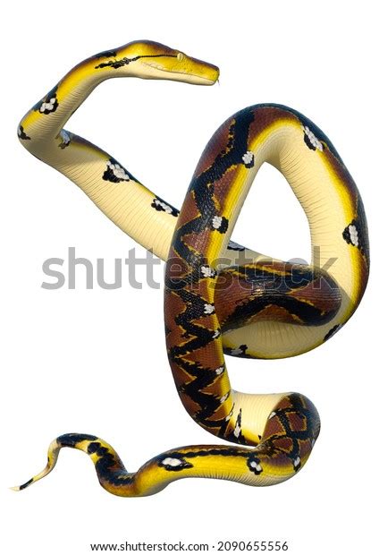 3d Rendering Reticulated Python Python Reticulatus Stock Illustration 2090655556 Shutterstock